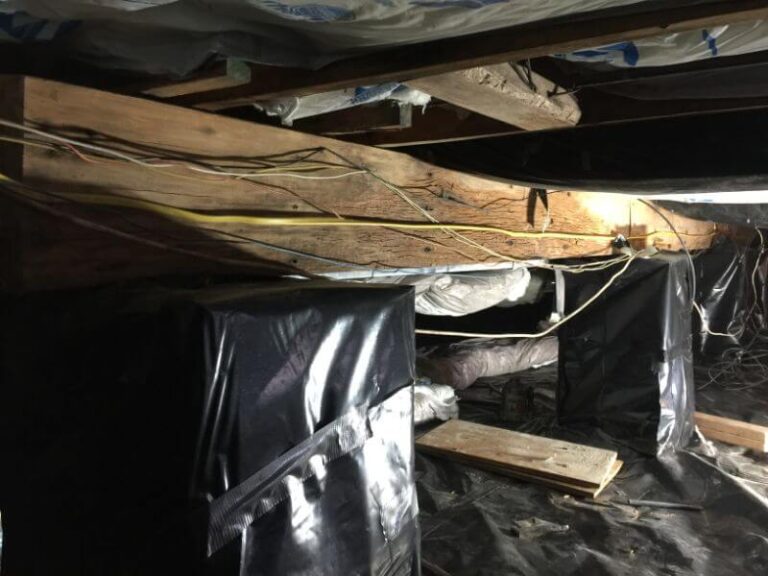 Carrier Beams Repaired or Replaced | Cornerstone Structural LLC